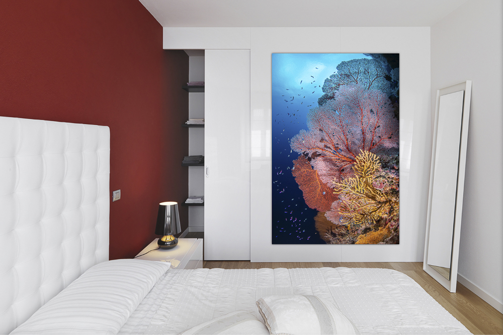 Love the Ocean Gallery